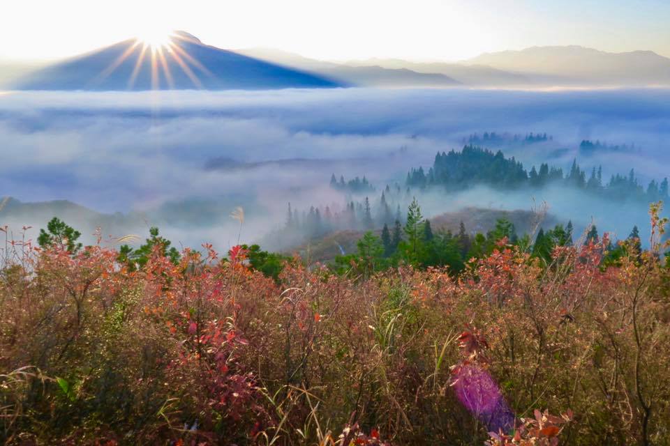 浦佐（ヤゴ平東屋）|南魚沼雲海ハント公式～新潟県雲海スポット～